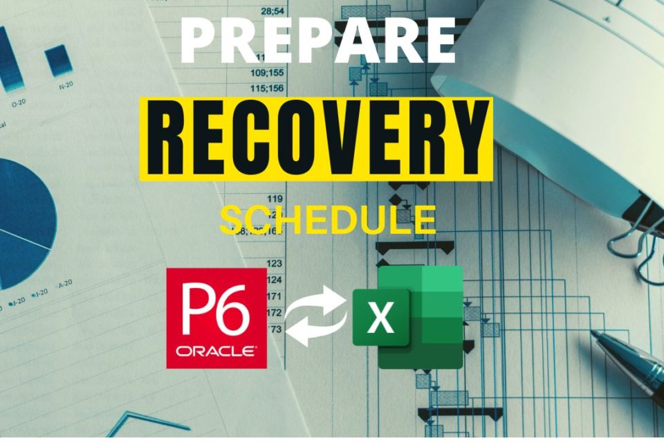 Primavera P6 Archives | Softedemy